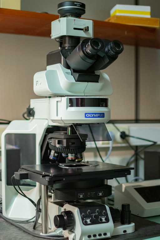 Olympus BX63 — platforms